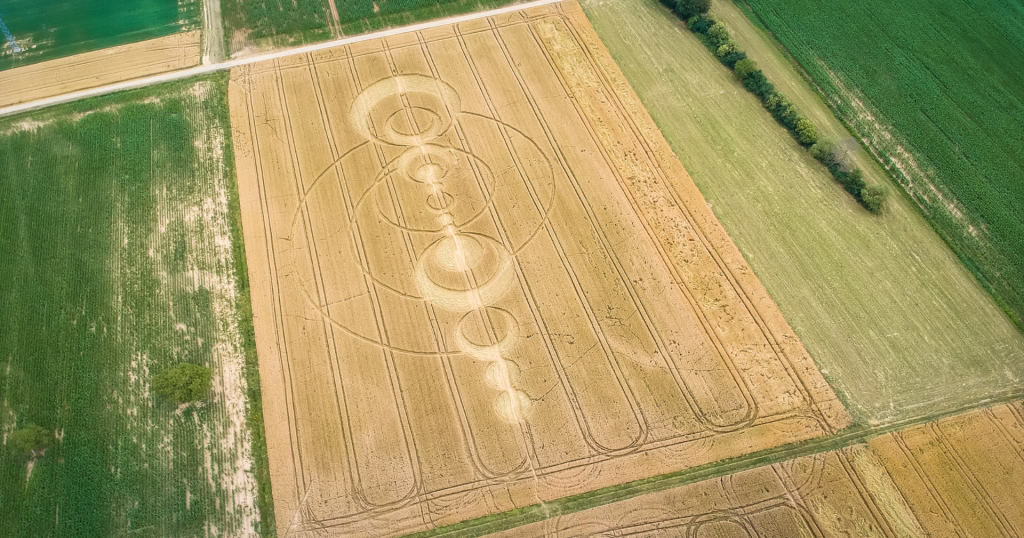 Kornkreis-Zeiten und Heilsame Möglichkeiten - Andrea Kilz' TEDDY-Konzept